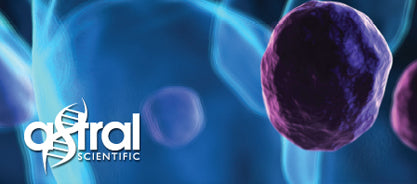 Chromsystems - Kits for Analysis of Vitamin B1 and B6 by HPLC and UHPL ...