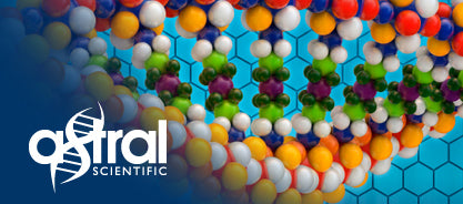IPTG: Triggers the Transcription of the Lac Operon – Astral Scientific