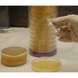 Porous cellophane circles, 8cm diameter, pack of 100 EJA08-100 – Astral ...